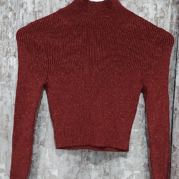 Zara | Sweaters | Zara Red Turtleneck Sweater | Poshmark